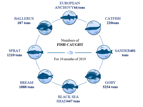 Ukraine’s regulatory framework for the Blue Economy | Ukrainian ...